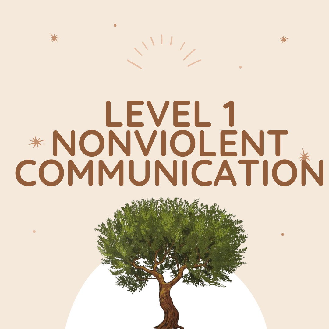 Level 1 Nonviolent Communication Foundation training